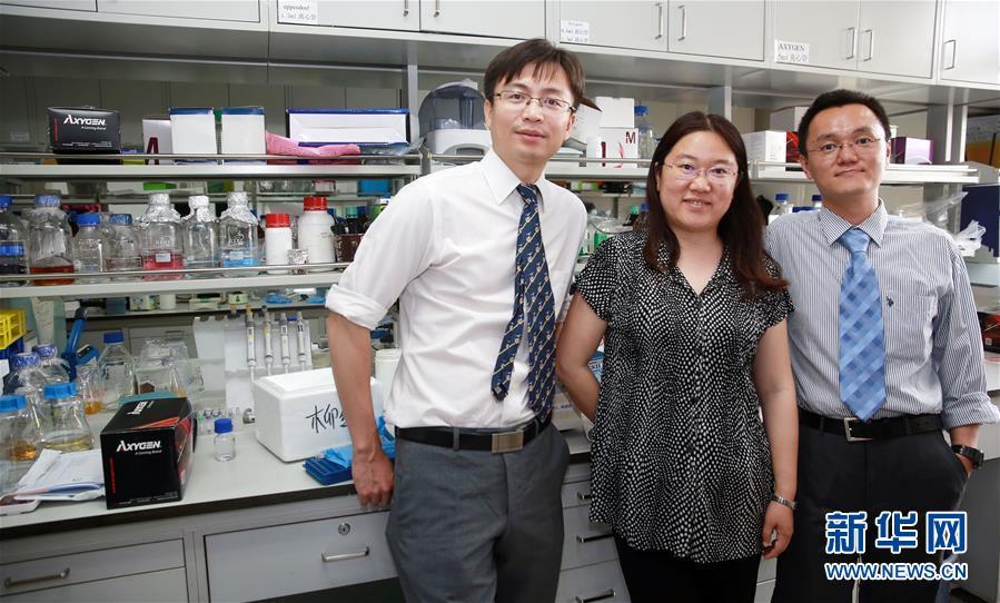 中国科学家率先破解光合作用超分子结构之谜