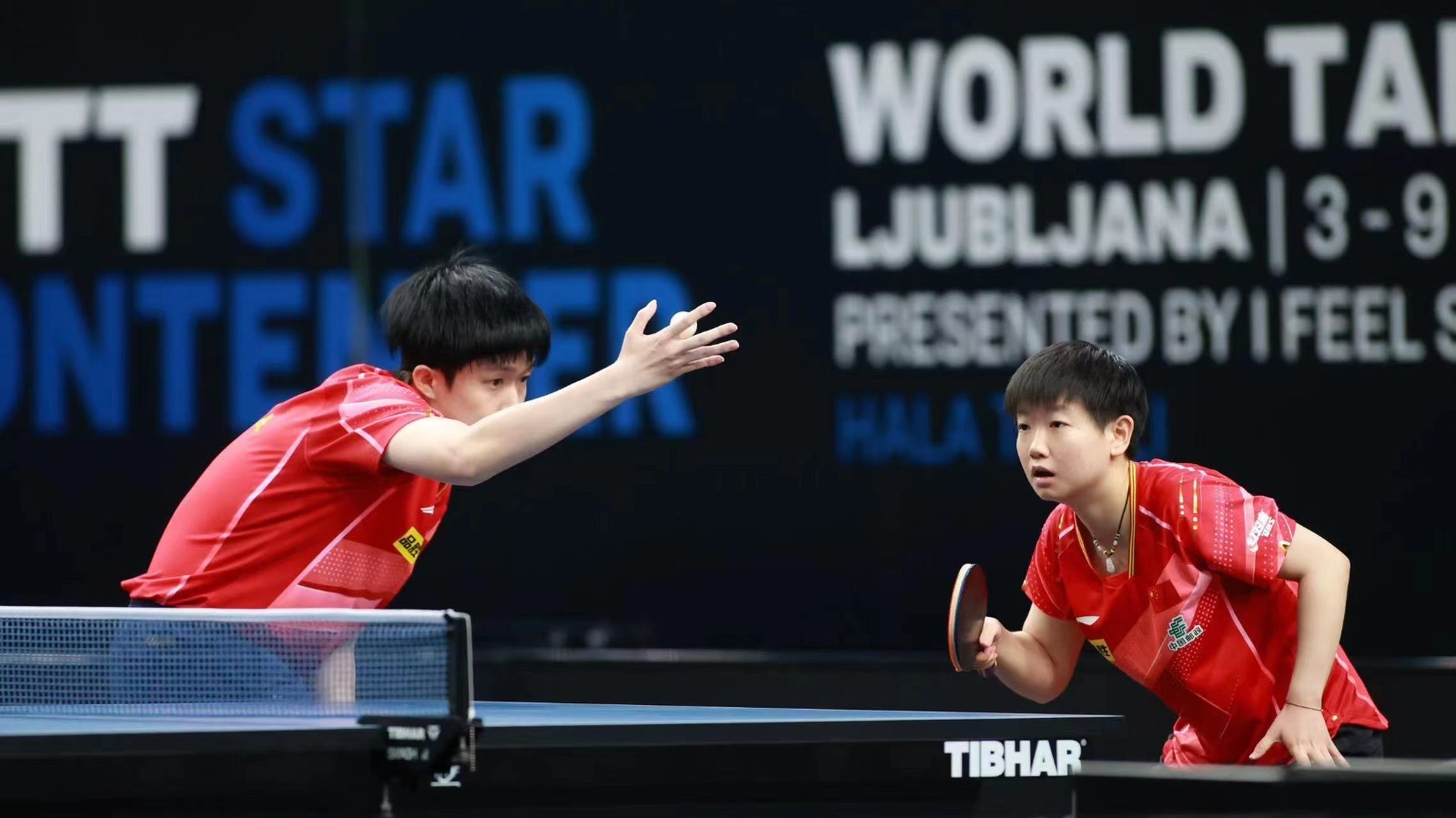 WTT球星挑战赛 马龙/袁励岑男双晋级四强 陈梦/王曼昱女双折戟_北京时间